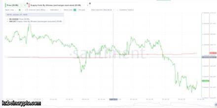 크립토 고래, 2026년 2월 매수 코인