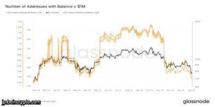 ビットコイン8万ドル割れ 大口売却も反発兆候