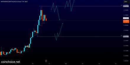 今波に乗っているミームコイン？ホワイトホエールとは。特徴とリスクまで徹底解説