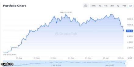 Cine a pierdut cel mai mult după prăbușirea pieței crypto?