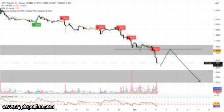 Ripple (XRP) vs Mutuum Finance (MUTM): Which Is The Best Crypto To Invest In After the Recent Market Dip? 