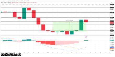 Şubat 2026’nın İkinci Haftasında Takip Edilecek 3 Meme Coin