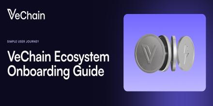 VeChain Ecosystem Onboarding Guide