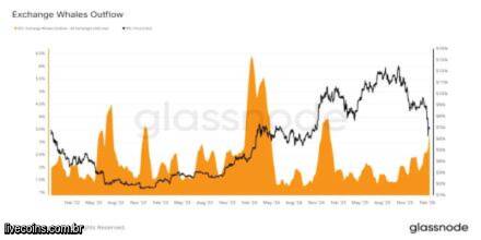 Baleias voltam a comprar Bitcoin após tombo de 40% e ajudam a segurar queda