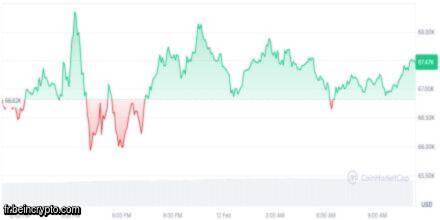 24h Crypto : ça sent mauvais pour Shiba Inu !