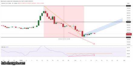 모네로, 135달러 하락…저점 매수세 예상 가격대는?