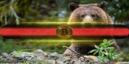 The ‘Bear Market Signal’: This Bitcoin Indicator Just Flashed Red After 3 Years