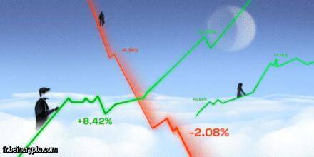 24h Crypto : un secteur crypto continue de grimper malgré le crash