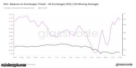 Отток Solana на биржи в размере $202 млн спровоцировал первый сигнал капитуляции с 2022 года