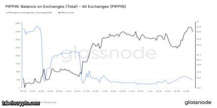 Pippin fiyatı ATH’ın %40 altında: 16,6 milyon PIPPIN için anlamı ne?