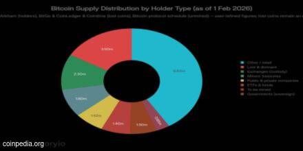 Bitcoin Price Falling Nonstop? Real Reason Behind Why