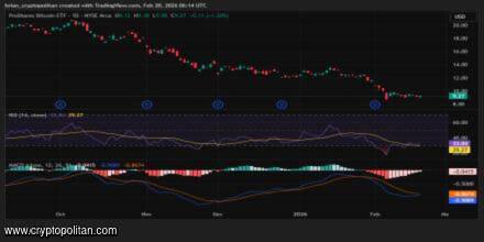 BITO price rediction 2026-2032: Is BITO a good buy?