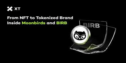 What Is BIRB? Inside the Moonbirds Token Launch on Solana