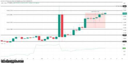 Şubat 2026’nın Son Haftasında Takip Edilecek 3 Meme Coin
