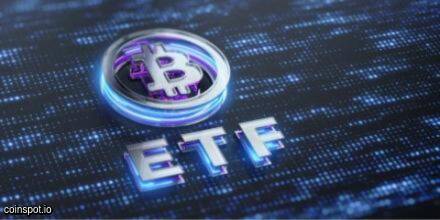 Биткоин-ETF тихо накапливают активы или просто не продают ключевые данные по потокам