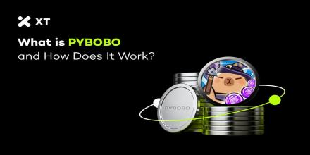 What Is Capybobo ($PYBOBO)? Building a Web3 Art Toy IP Beyond On-Chain Hype