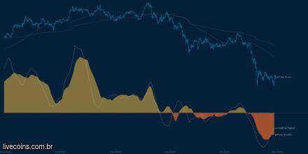 Após vender todos os seus bitcoins, especialista prevê nova alta, mas admite risco de colapso