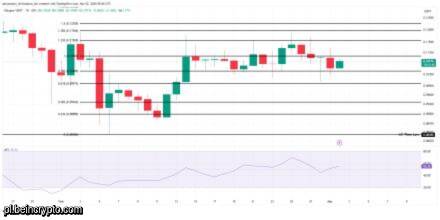 TOP 3 altcoiny na pierwszy tydzień marca 2026 roku