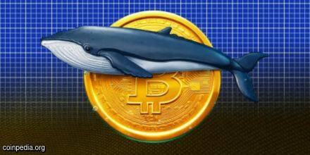 Bitcoin Whale Profits $570K as Bitcoin Price Rise Above $71K