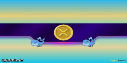 Ripple Whales Take Control of XRP Trading as Key Metric Signals Potential Rally