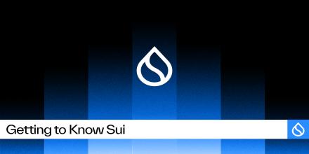 Getting Started on Sui: What is Sui?
