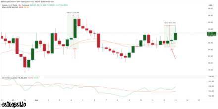 Настроения вокруг Solana проходят проверку, несмотря на рост покупательского давления на 100%