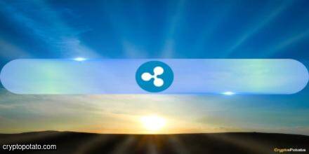 XRP Ledger Hits All-Time High as Ripple Price Jumps 14% in 48 Hours