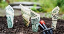 Homem transforma R$ 1 mil em R$ 1 milhão por causa de Bug em criptomoeda