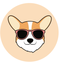 Токен Shiba подскочил в цене на 70% из-за Илона Маска