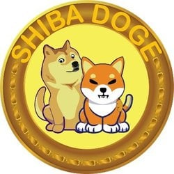 상위 100개 이더리움 고래 지갑, 24시간 FTT·SHIBDOGE 매집