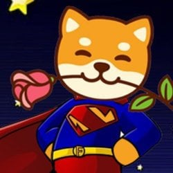 Elon Musk Bought a Shiba Inu Dog; New Dogecoin Copycats Skyrocketed as a Result