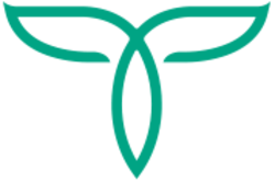 Tea-Fi Redefines DeFi: One SuperApp, Infinite Yield, Powered by $TEA